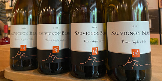 Serious Loire Valley White: 2020 Gerard Fiou 'Just Fiou' Sauvignon Bla ...